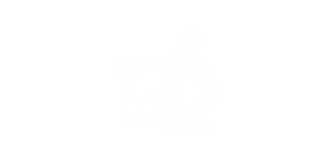 FileMaker Developers & Consultants | Claris Platinum Partner