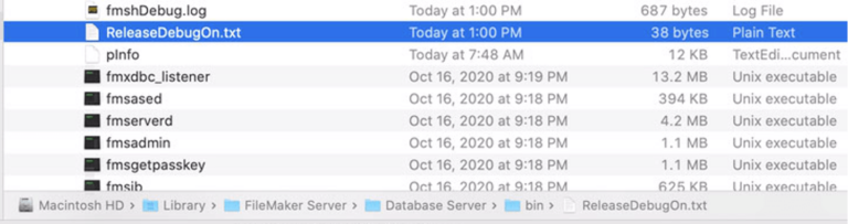Exploring FileMaker Server Performance Improvements