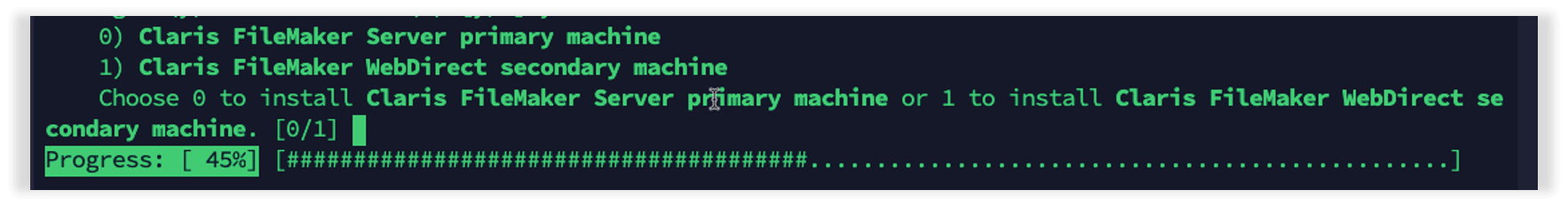 The Penguin is Back | Setting Up Your First Linux FileMaker Server