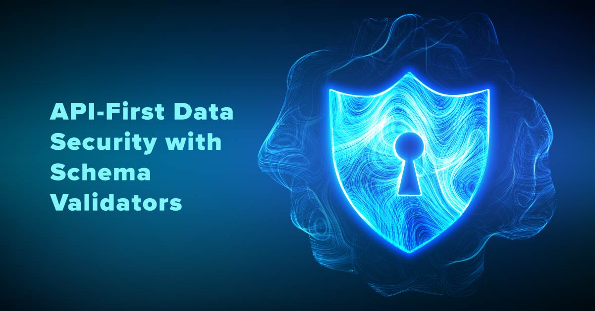 API-First Data Security with Schema Validators