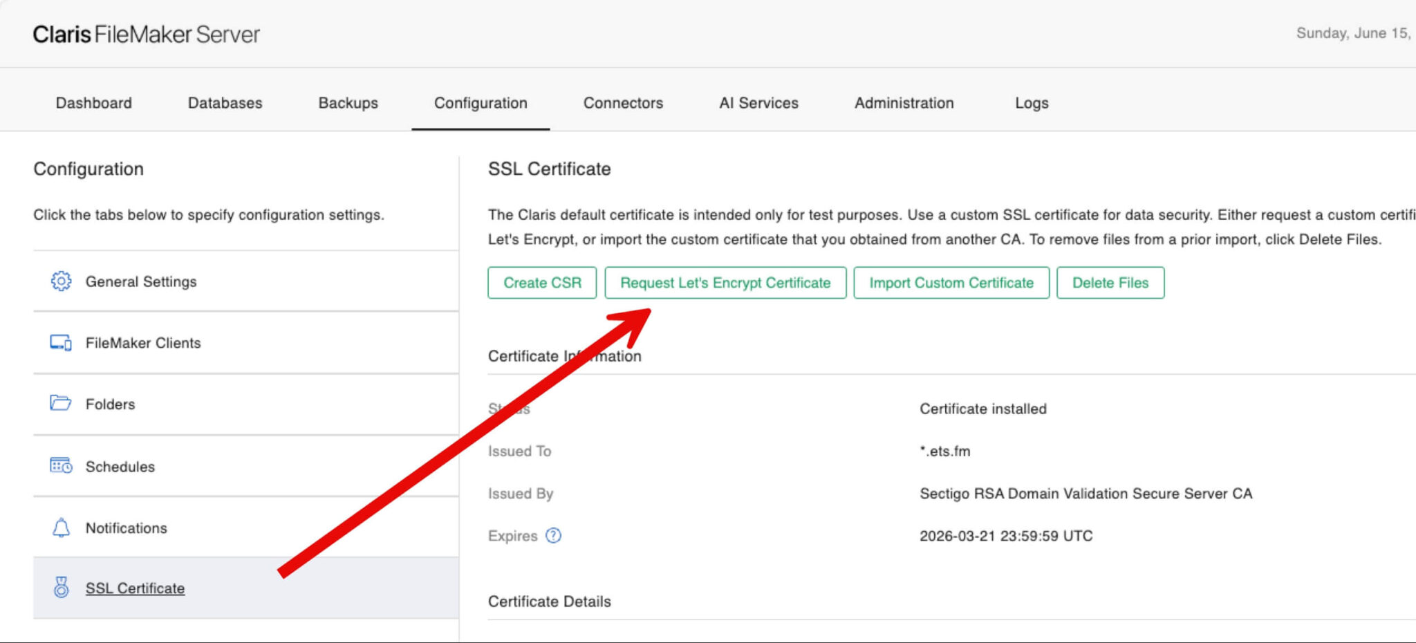 FileMaker 2025 Executive Summary | AI Feature Insights